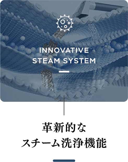 STEAM RINSE CLEANER PRO – 株式会社Beautitec